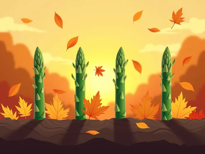 Fall Strategies Boost Next Years Asparagus Yields