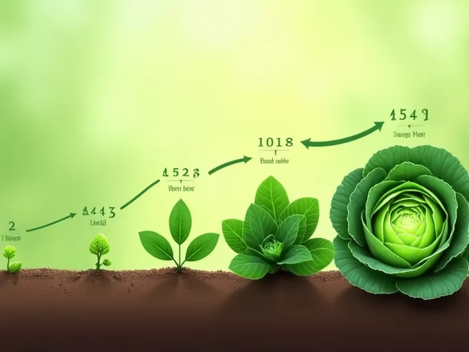 Study Explores Cabbage Growth Cycles Varieties and Key Factors