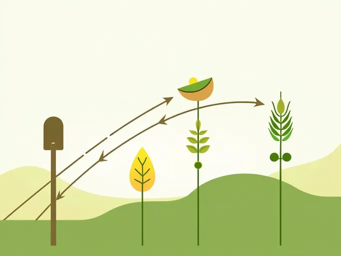 New Farm Rules Boost Rural Development Support