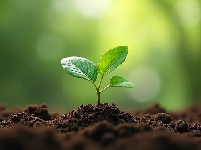 Demand Grows for Paris Polyphylla Seedlings in Inner Mongolia
