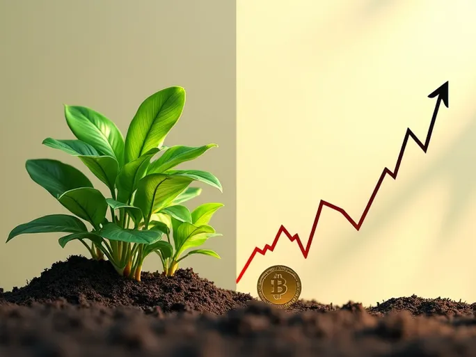 Hubei Catclaw Herb Seed Market Key Buyer Insights