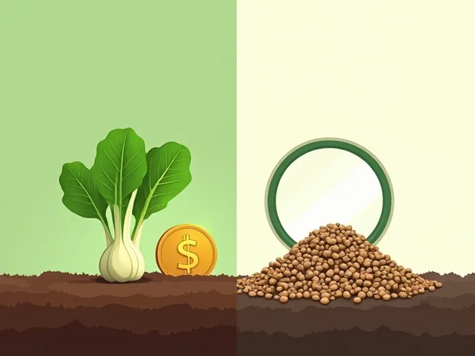 Napa Cabbage Seed Prices and Selection Guide in Hubei