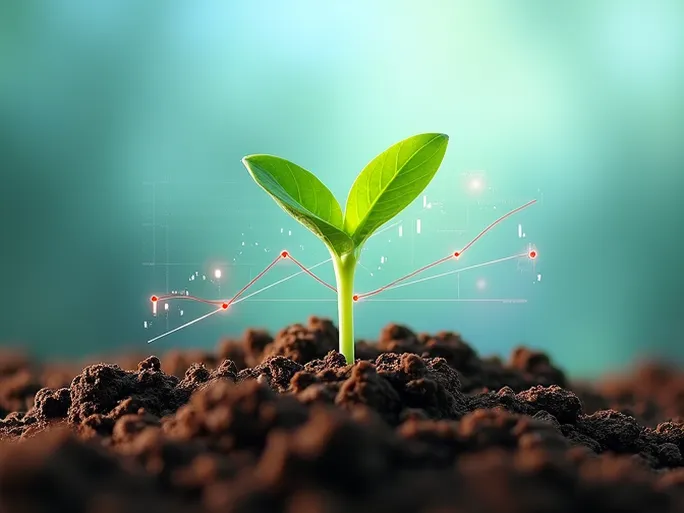 Qinghai Konjac Seed Prices Origins and Buying Guide