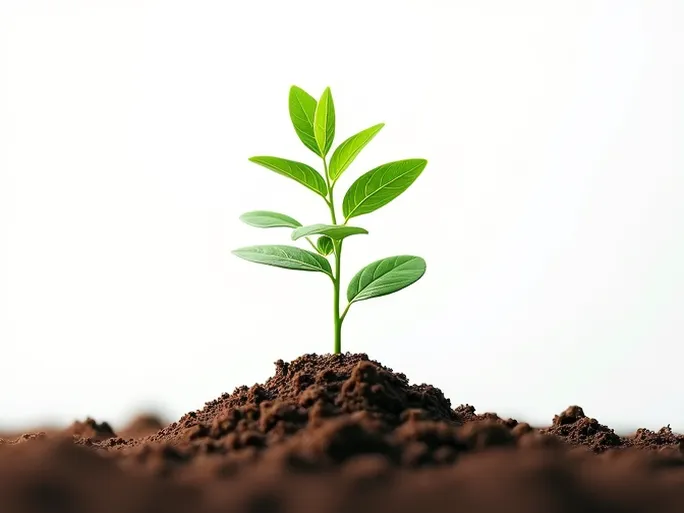 Tianjin Alfalfa Seed Prices Rise Amid Growing Demand