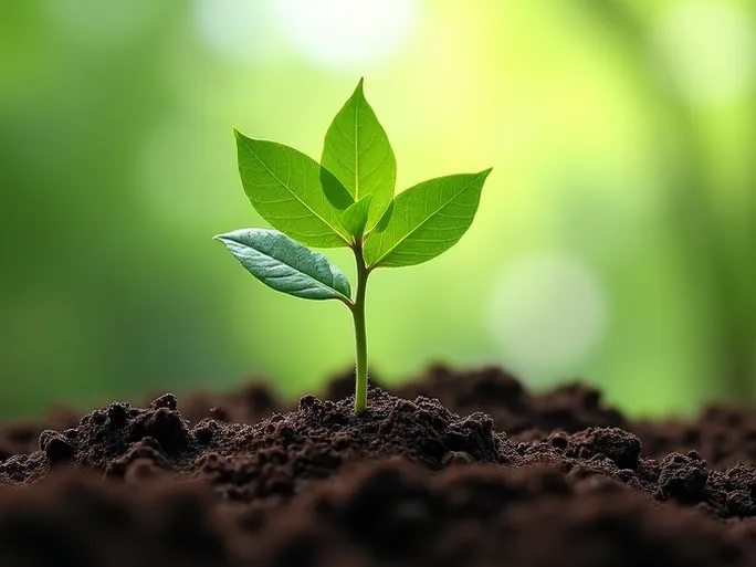 Macau Betel Nut Seedling Market Procurement Insights