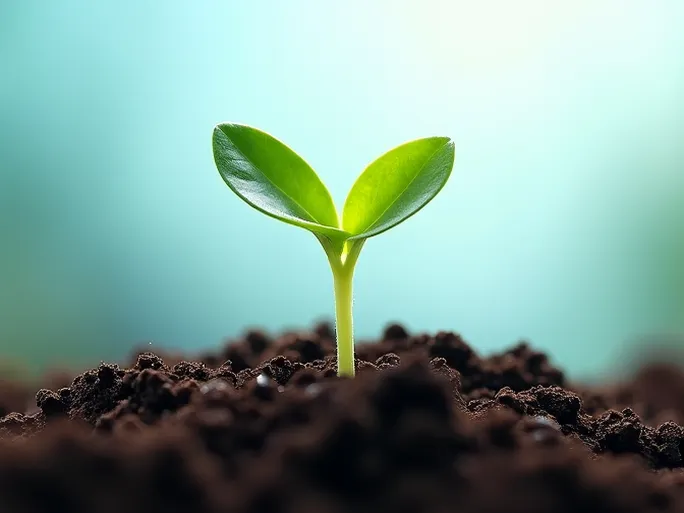 Macaus Indigo Woad Seedling Market Price Trends Analyzed