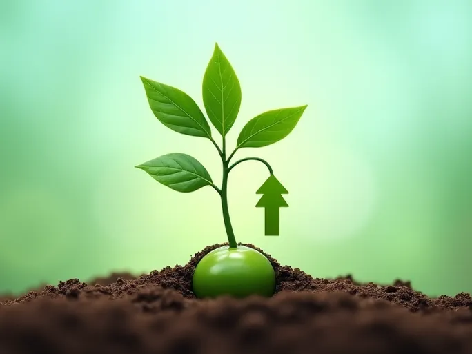 Guangxi Broad Bean Seed Prices Surge Amid Market Shift