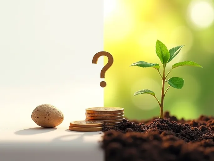 Yellow Vitex Seed Prices and Planting Tips in Heilongjiang