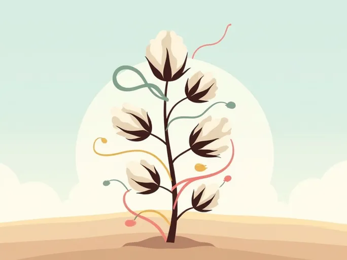 Global Cotton Fabric Demand Rises Amid Textile Market Shift
