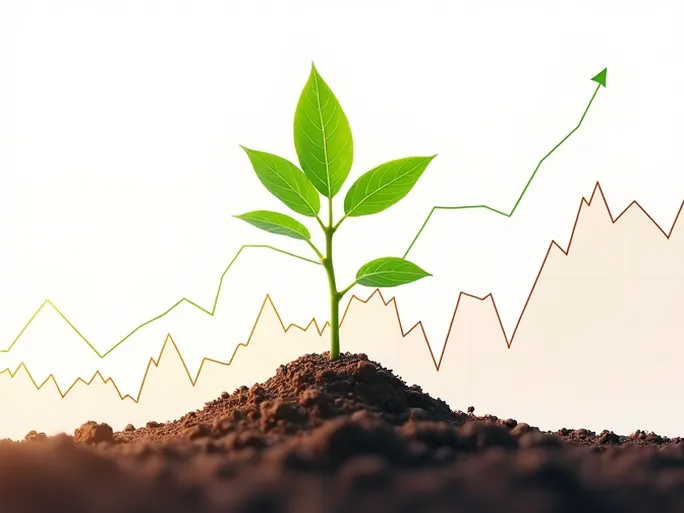Henan Wasabi Seedling Prices Rise Amid Growing Demand