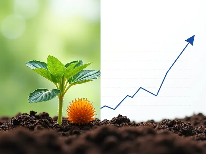 Gansu Pitahaya Seedling Prices Rise Amid Growing Cultivation Demand