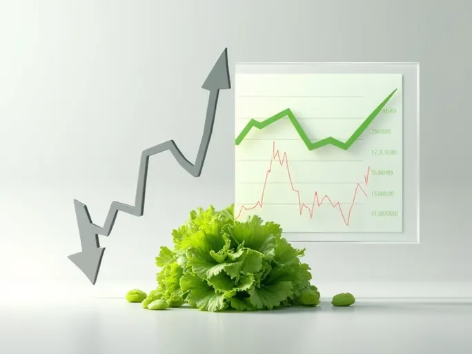 Guizhou Lettuce Seed Costs Rise Amid Planting Challenges