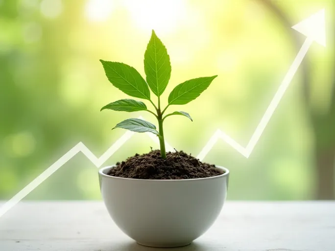 Henan Farmers Opt for Pepper Seedlings to Boost Yields