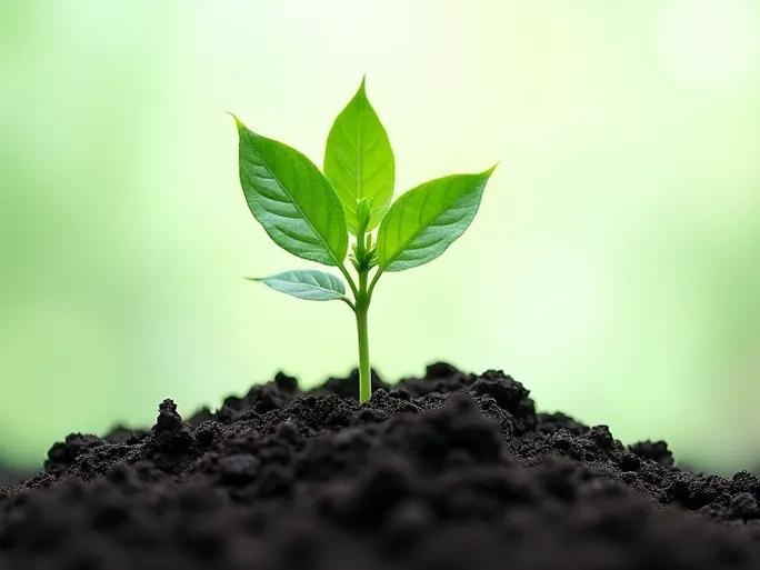 Black Dragon River Oxtail Vegetable Seedling Prices Rise Amid Market Shift