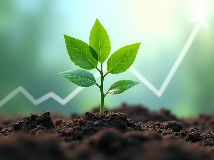Guizhou Selects Superior Poplar Varieties for Market Growth