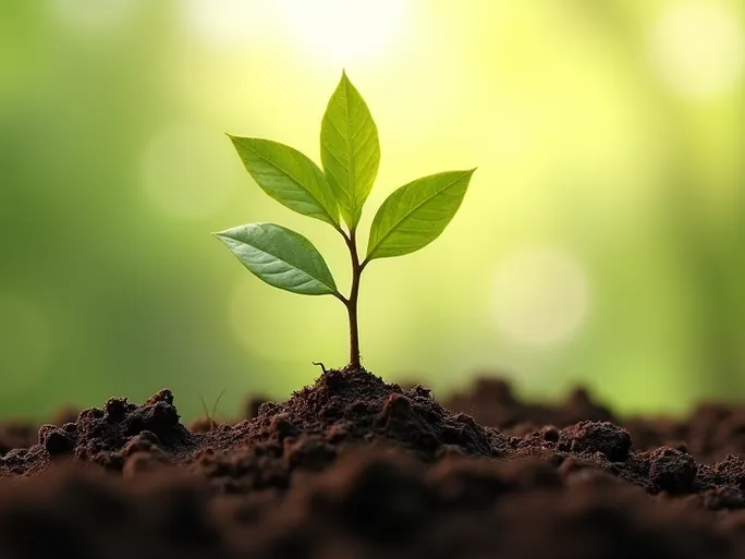 Anhui Yellowhorn Seed Prices Rise Amid Surging Demand