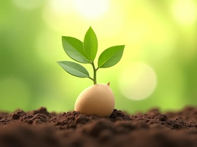 Buyers Guide to Jiangsus Boehmeria Macrophylla Seed Market