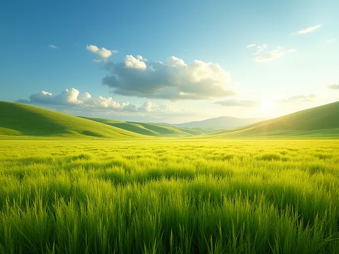 Inner Mongolia Grass Seed Prices Surge Amid Planting Demand