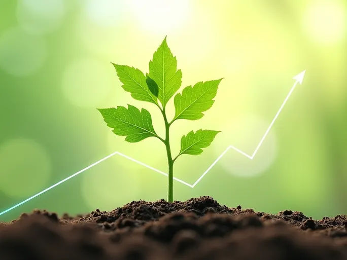 Macau Honeydew Melon Seedling Prices Surge Amid Market Shift