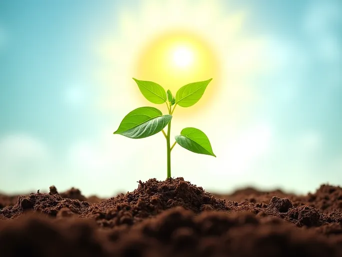 Shaanxi Pea Seedling Prices Rise Amid August 2024 Supply Shift