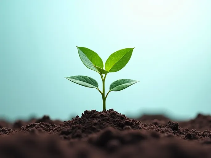 Hubeis Paris Polyphylla Market Stabilizes in August