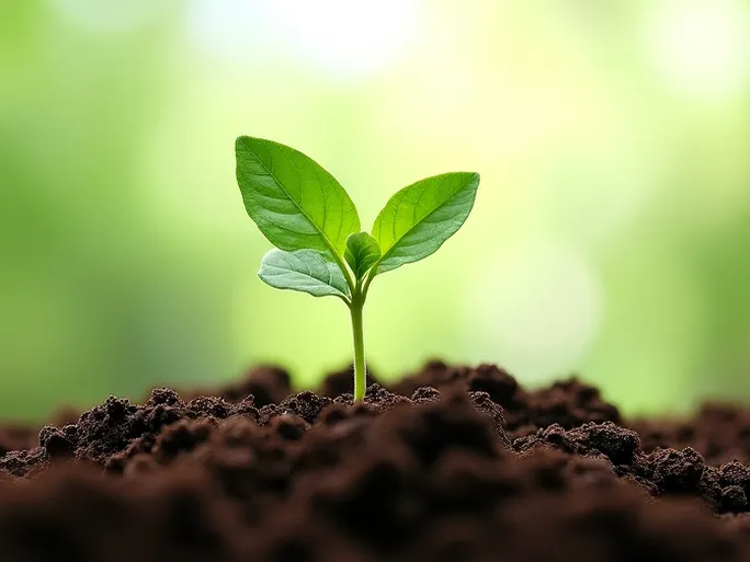 Macau Sees Growing Demand for Stephania Tetrandra Seedlings