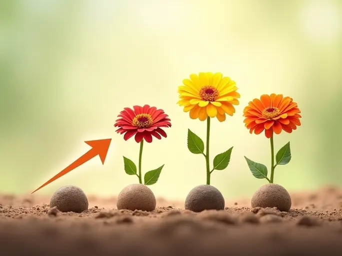 Zinnia Seed Market Trends and Buying Tips in Inner Mongolia