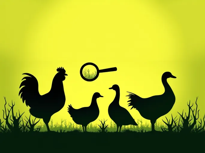 Poultry Farmers Urged to Address Rising Mycotoxin Risks