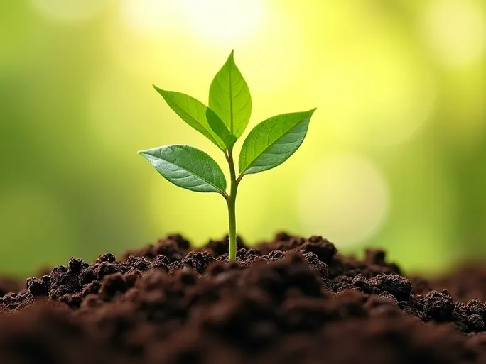 Guide to Purchasing Fujian Golden Flower Vegetable Seeds