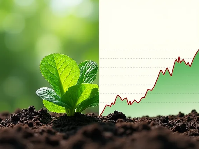 Chicory Seed Prices Surge in Heilongjiang Impacting Growers