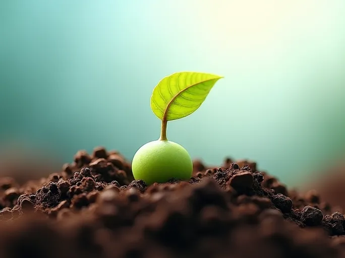 Gansu Ash Seed Prices Rise in August Market Analysis