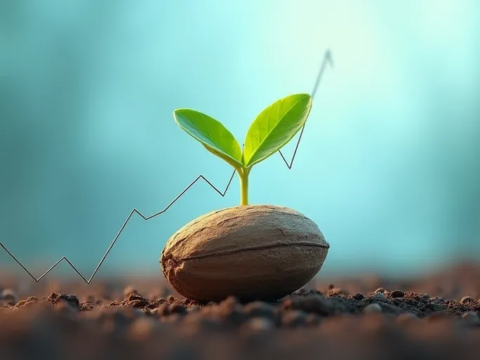 Jilin Borage Seed Prices Show Shifting Market Trends