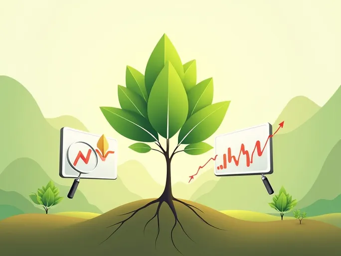 Gansu Arborvitae Market Trends and Buying Guide