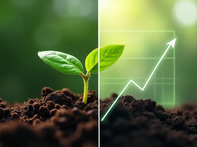 Hubei Cabbage Seed Prices Show Significant Market Shifts