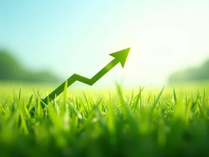 Henan Timothy Grass Seed Prices Rise in August Market