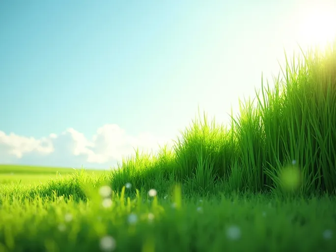 Shanghai Wheatgrass Seed Market Boosts Affordable Forage Production