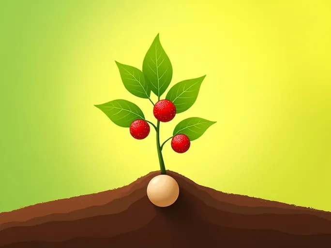 Henan Prickly Pear Seed Prices Shift Growers Adjust Strategies