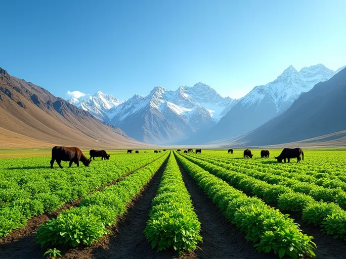 Qinghais Forage Pea Innovation Enhances Grassland Selfsufficiency