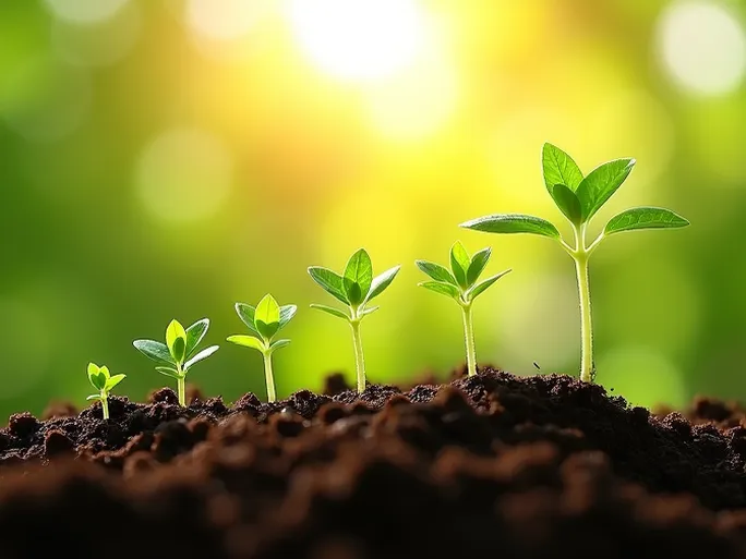 Guangdong Foxglove Seedling Prices and Sourcing Trends