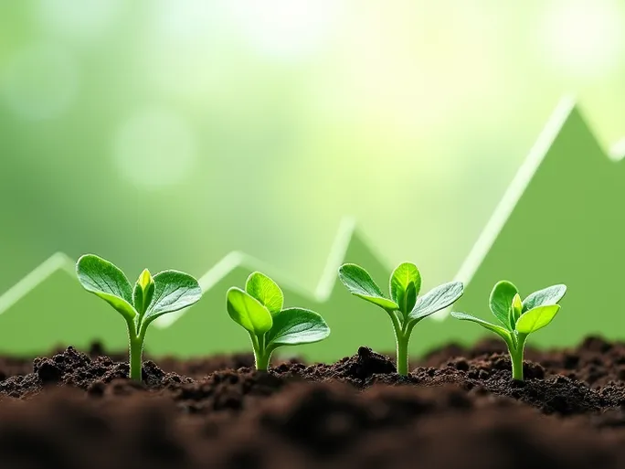 Jilin Farmers Face Challenges Sourcing stemona Sessilifolia Seeds