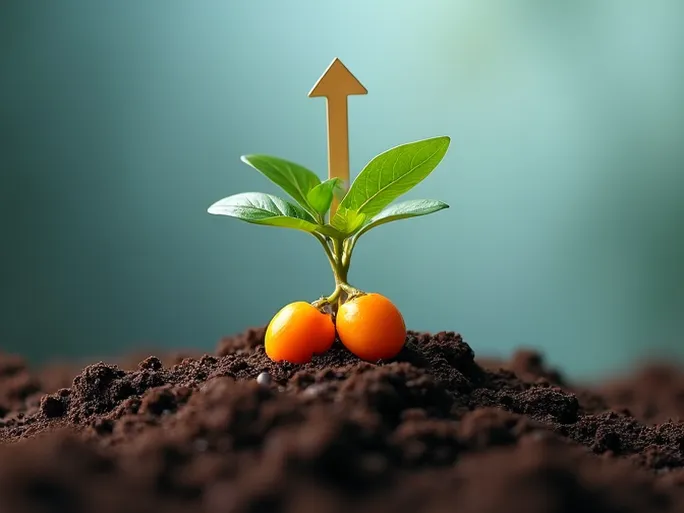 Jilin Citrus Seedling Prices Show Market Shift