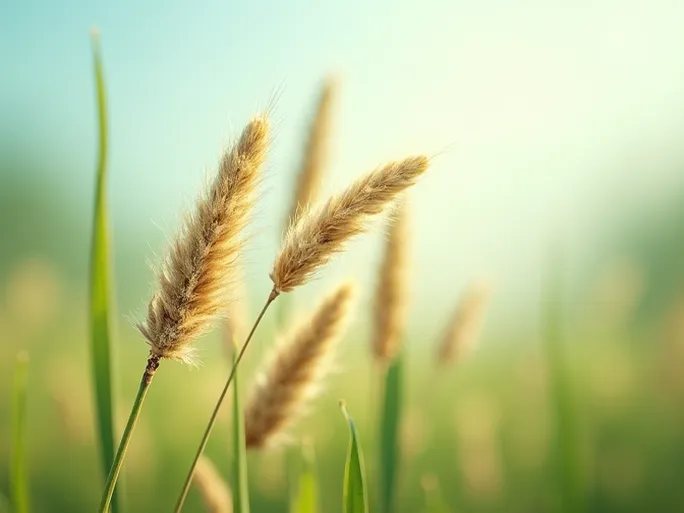 Jilin Cattail Seed Market Key Buyer Insights