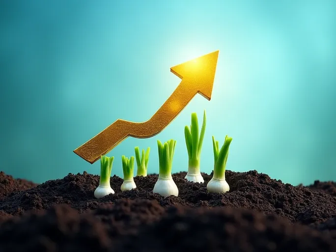 Shallot Seed Selection Gains Traction in Heilongjiangs Agriculture