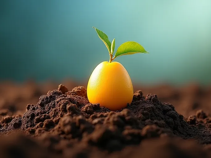 Shanxis Egg Fruit Seed Market Opportunity or Risk
