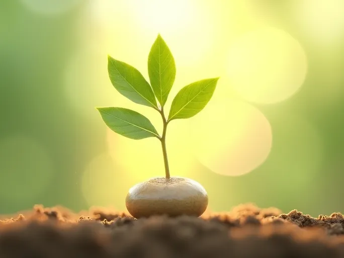 Jiangxi Artemisia Seeds Guide Aims to Boost Farming Profits