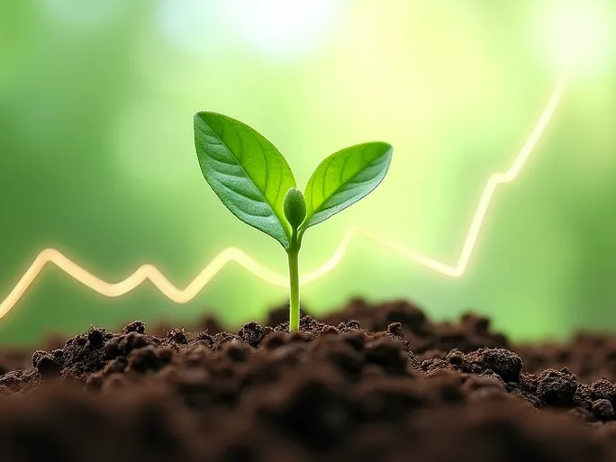 Jilin Ginseng Seed Prices Rise Amid Market Shift