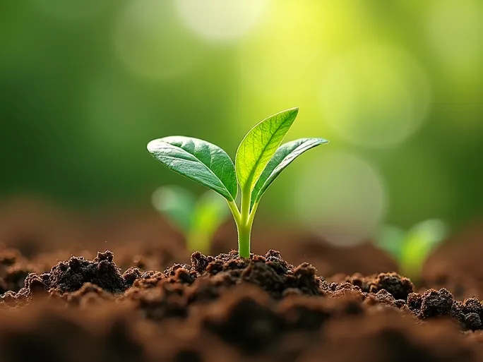 Shanghai Pepper Seedling Prices Show Seasonal Fluctuations