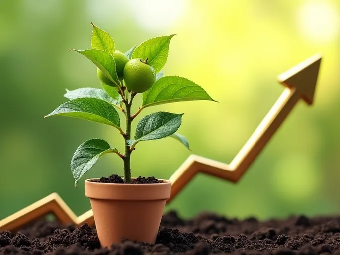 Taiwan Loquat Sapling Prices Rise Amid Growing Demand