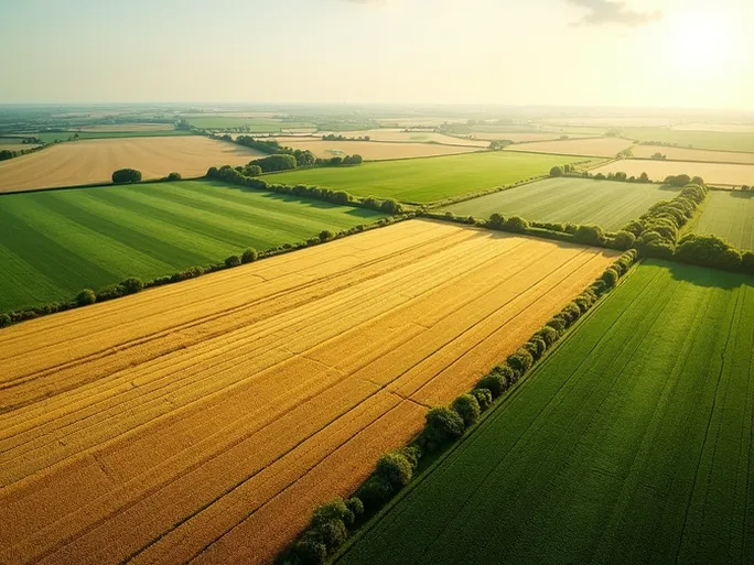 Yorkshire Farmland Private Sales Rise Amid Policy Changes