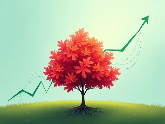 Henans Red Robin Photinia Market Varieties and Trends